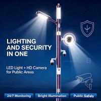China Smart Pole System with LED Light, Camera, WiFi and Emergency Call for sale