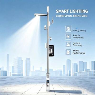 China Smart Pole‑Multi‑Function Smart Street Light Pole for Smart City Solution with WiFi, Camera & Charging Station for sale
