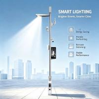 China Multi‑functional Smart Pole, Smart Street Light with Weather Station, WiFi AP & EV Charger for sale