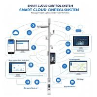 China Outdoor Smart Light Pole, Smart City Solution Lamp Post with Wireless AP, Weather Sensor & Emergency Call for sale