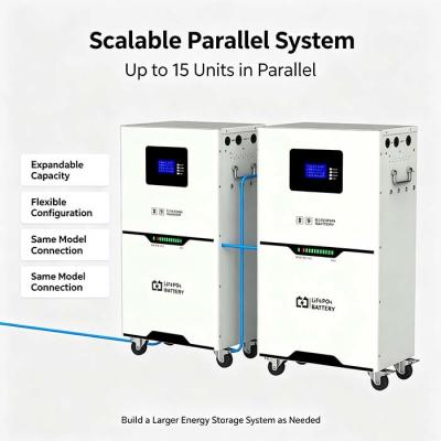 China 51.2V 100Ah Solar Storage LiFePO4 Battery, Max 100A Continuous Charge/Discharge for sale