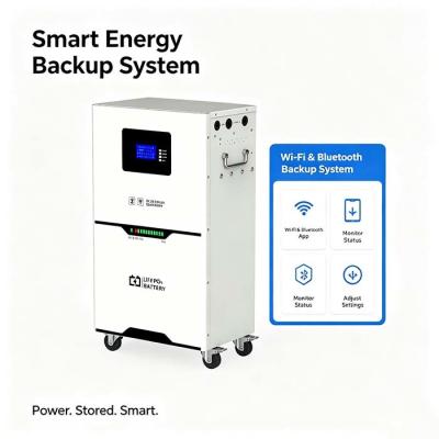 China Off-Grid Backup 51.2V 100Ah LiFePO4 Battery WiFi Bluetooth Monitoring >98% Round Trip Efficiency for sale