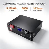 China 51.2V 100Ah Wall Mount LiFePO4 Battery 5.12kWh | 8000 Cycles Home Solar Storage 10Y Warranty for sale