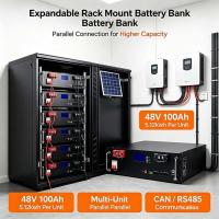 China Direct Rack‑Mount LiFePO4 Battery 48V 100Ah For Commercial & Home Solar Cabinet System for sale