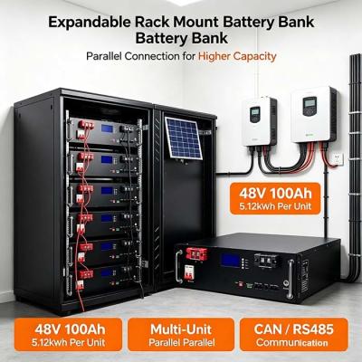 China Direct Rack‑Mount LiFePO4 Battery 48V 100Ah For Commercial & Home Solar Cabinet System for sale