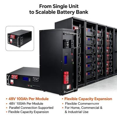 China 5.12kWh Rack‑Mount Energy‑Storage Battery Built‑in Breaker For Emergency Manual Power Cut‑off for sale