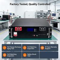 China OEM ODM Supported Rack‑Mount LiFePO4 Battery Branding Housing Function Customizatio for sale