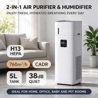 China 2 in 1 Air Purifier & Evaporative Humidifier, 1000ml/h Humidification, Anti-Mildew Wet Curtain for Home for sale
