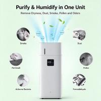China Auto Mode Air Purifier Humidifier Combo, Low Noise, Energy Grade 1, Large Space 53-91m² Coverage for sale