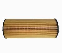 China Engine Oil Filter Truck Spares Parts A5411800209 E500HD129 for sale