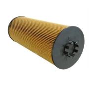 China Truck Parts Oil Filter E500HD129 5411800209 HU12140X A5411800209 for sale