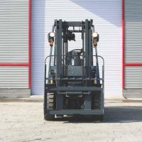 China Steel and Rubber 3 Ton Mitsubishi Forklift Powerful Diesel Forklift with White Colour for sale