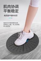 China Workout Rotation Massage Stability Disc Round Plates Board Gym Waist Twisting Exerciser Yoga Balance Board for sale
