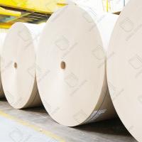 China Uncoated Cupstock Base Paper 150gsm to 350gsm for Hot and Cold Drink Cups for sale