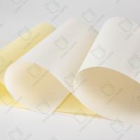 China Heat Resistant Food Grade Silicone Baking Paper 30gsm to 100gsm Double Side High Gloss for sale