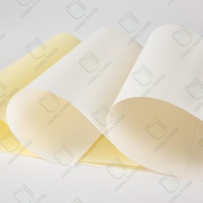 China Heat Resistant Food Grade Silicone Baking Paper 30gsm to 100gsm Double Side High Gloss for sale