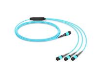 China OM3 Trunk MPO MTP Patch Cord 24 Fibers Breakout Patch Cord for sale