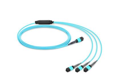 China OM3 Trunk MPO MTP Patch Cord 24 Fibers Breakout Patch Cord for sale