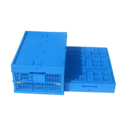 China Lightweight Foldable Plastic Container 600*400 Mm Virgin Polypropylene Foods Loading for sale