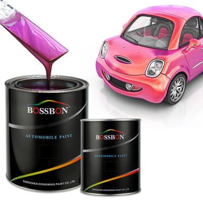 China Auto Refit Chameleon Metallic Paint Automotive Coating Spray Car Refinish Paint for sale