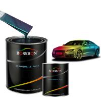 China Hot Hues Pearl Color Car Paint 5 Colors Changing Chameleon Alkali Proof for sale