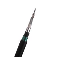 China Armored Underground Outdoor Fiber Optic Cable Double PE Double Steel Tape Anti Rodent for sale