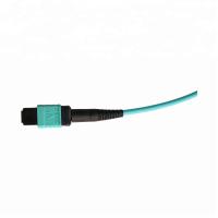China 12 Fibers Female MPO Fiber Optic Patch Cord Pigtail Cable 0.9mm 2.0mm 3.0mm for sale