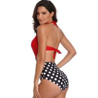China Breathable Women's One Piece Swimsuit Beach Wear Swimming Suit 25/23 for sale