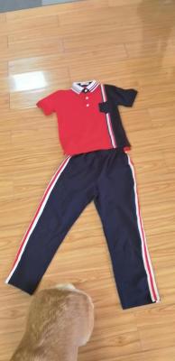 China Unisex School Uniform T Shirt Pants Set 55 Cotton Polyester Custom Logo for sale
