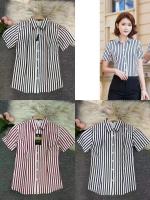 China Custom Cotton Polyester Women Polo Dress Shirts Long Short Sleeve Regular Formal Kcs2 for sale