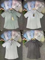 China Custom Cotton Polyester Women Polo Dress Shirts Short Sleeve Regular Formal Kcs4 for sale