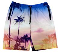 China Men's Breathable Swimming Shorts F420 33 Elastic Waistline Beachwear Trousers for sale