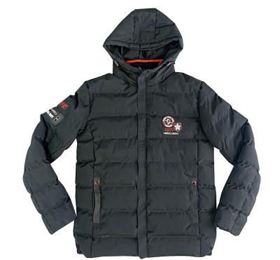 China Men Winter Down Jacket Thick Padded Hoodie Outdoor Wear F420 PC4 for sale
