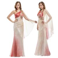 China Elegant Floor Length Zipper Lady Evening Dress for Formal Occasions 70cm for sale