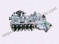 China SHAC truck parts Weichai WP12.430E201 Fuel injection pump 430HP 1001671519 for sale