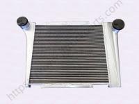 China SHAC F2000 F3000 X3000 H3000 X5000 X6000 L5000 truck spare part Supercharge Intercooler DZ9218530101 for sale