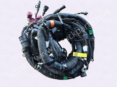 China Shac truck parts Weichai engine body wiring harness DZ97189775619 for sale