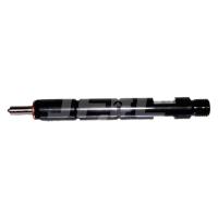 China Fuel Injector assembly 13034216 for WEICHAI Engine parts for sale