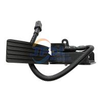China Electronics Accelerator Pedal Assembly DZ97189570483 for Shac for sale