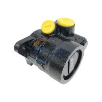 China Shac F3000 X3000 Truck Parts DZ96319470769 Power Steering Pump with 6 Months Warranty and Fast Delivery for sale