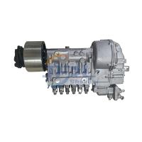 China Original Common Rail Injection Pump J41D2-1111100-493R Fuel Injection Pump B6PN157-R for Yuchai for sale