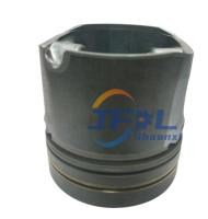 China Truck Engine System Piston 1004011C81DM High Quality for FAW Jiefang Truck for sale