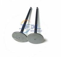 China Intake Valve 612630050075 Intake Valve Assembly for Shacman X3000 X5000 SINOTRUK HOWO Foton Auman Truck for sale