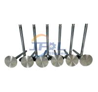 China Intake Valve 612630050075 Intake Valve Assembly for Shacman X3000 X5000 SINOTRUK HOWO Foton Auman Truck for sale