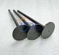 China Intake Valve 612630050075 Intake Valve Assembly for Shacman X3000 X5000 SINOTRUK HOWO Foton Auman Truck for sale