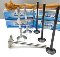 China Intake Valve 612630050075 Intake Valve Assembly for Shacman X3000 X5000 SINOTRUK HOWO Foton Auman Truck for sale