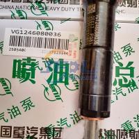 China SINOTRUK D12 WD615 diesel engines Fuel Injector Assembly VG1246080036 Common Rail Injector For Sinotruk Howo A7 Truck for sale
