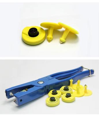 China Maximize Efficiency And Productivity With Programming HDX RFID Ear Tags For Asset And Livestock Management for sale