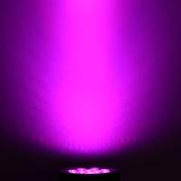 China 12*10W RGBW 4 In 1 IP65 LED Par Can Stage Event Show Lighting Outdoor LED Par for sale