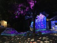 China 200W Waterproof High Power Ripple Gobo Projector Light Fluttering Flag Effect Imager HD Light for sale